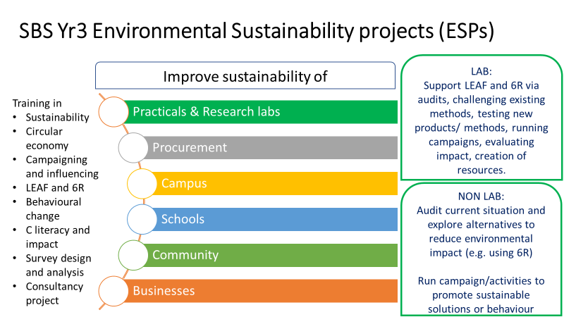 BMH Social Responsibility | The Environmental Sustainability Projects ...