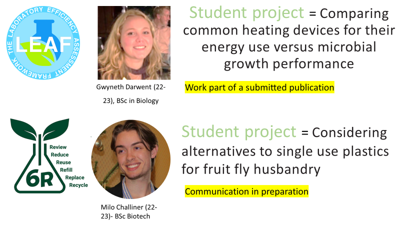 BMH Social Responsibility | The Environmental Sustainability Projects ...