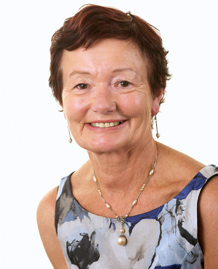 BMH Social Responsibility | PPIE Celebration Event 2024: Theme and ...