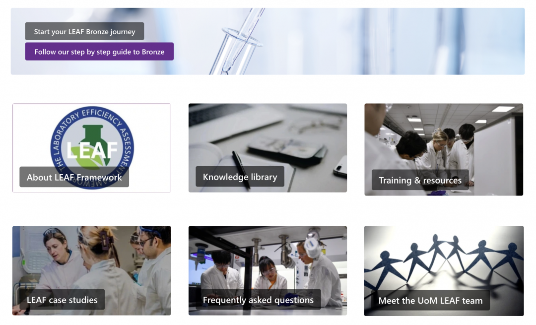 BMH Social Responsibility | New LEAF SharePoint Site: University-wide ...